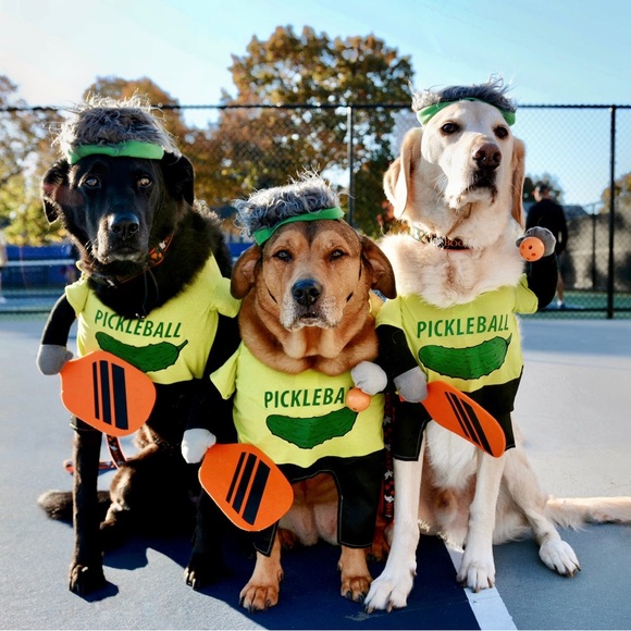 Hyde & EEK! | Dog | Halloween Frontal Pickleball Player Dog Costume ...